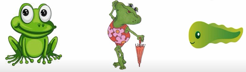 La croissance des animaux – cahier du jour